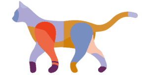 Unicorn - Studio ROOF