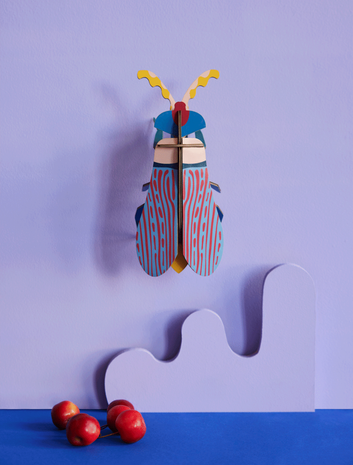 Striped Wing Beetle - Studio ROOF