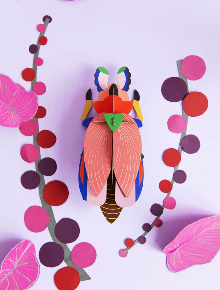 Mimela Scarab Beetle - Studio ROOF