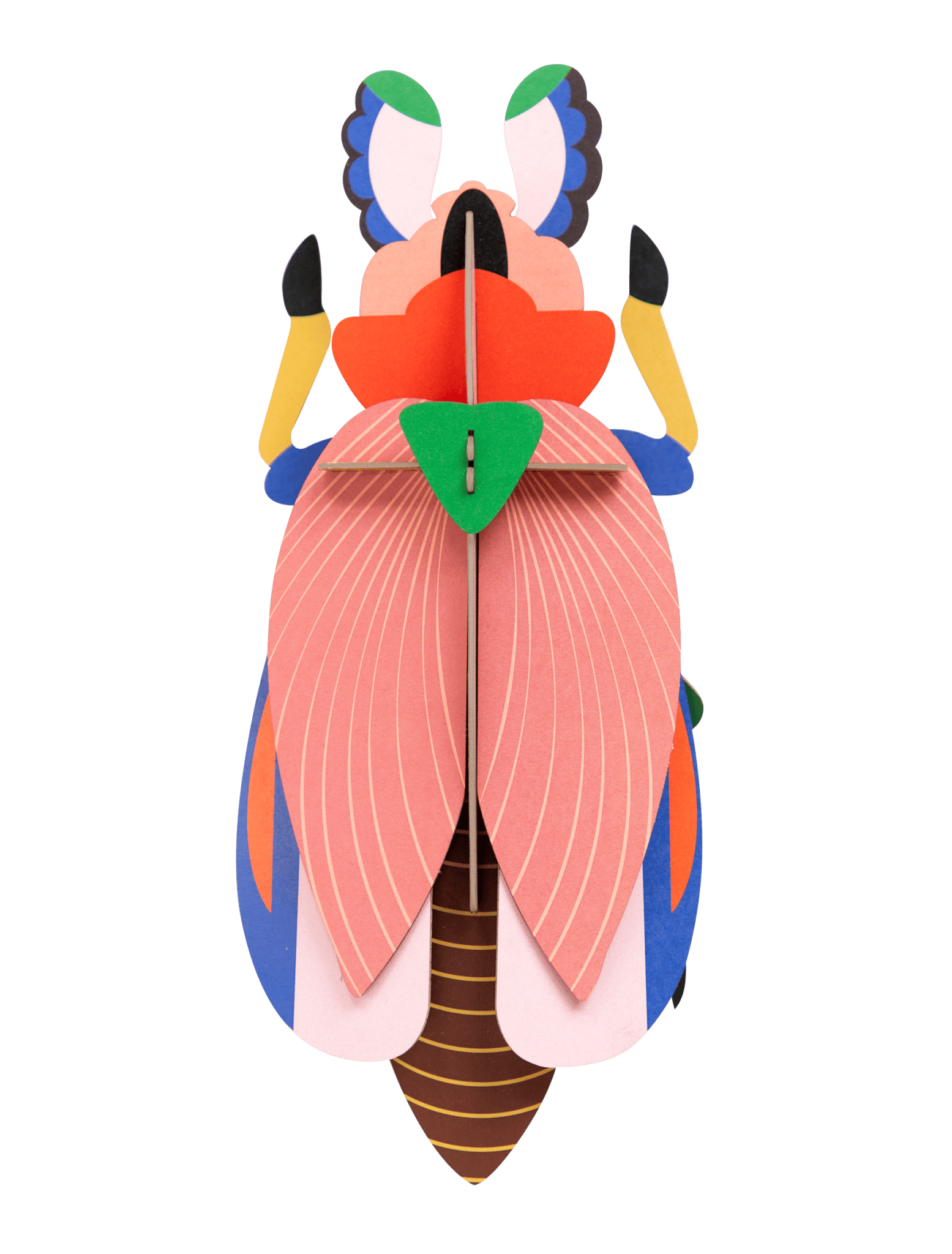 Mimela Scarab Beetle - Studio ROOF