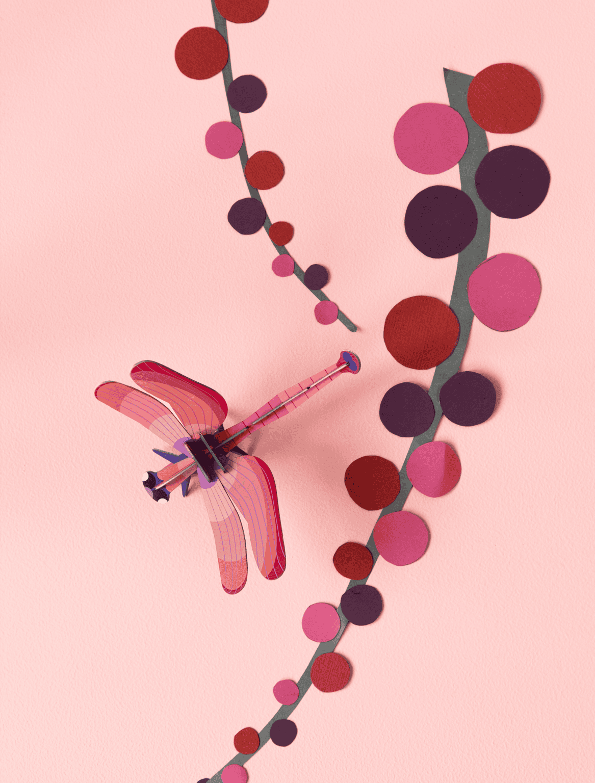 Ruby Dragonfly - Studio ROOF