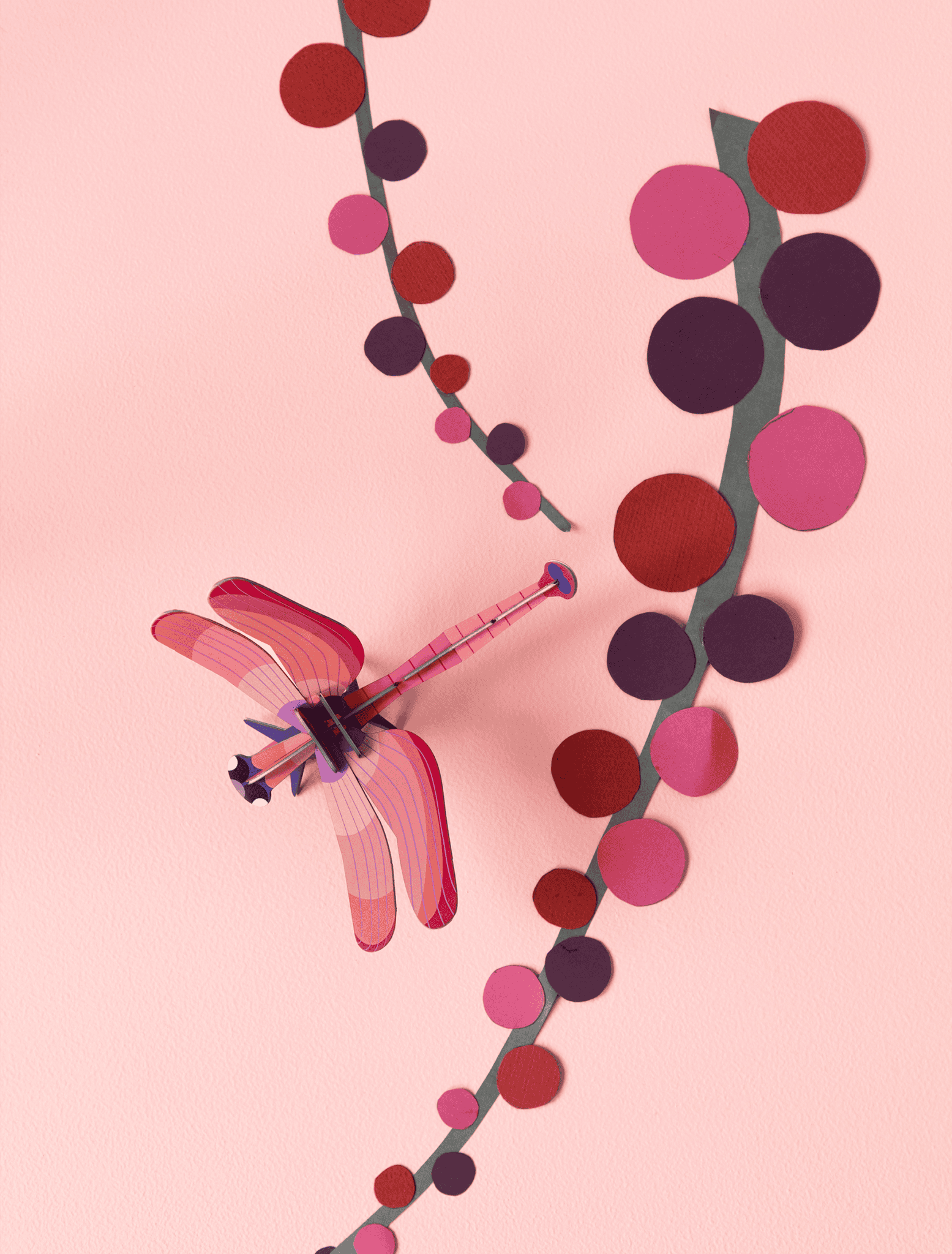 Ruby Dragonfly - Studio ROOF