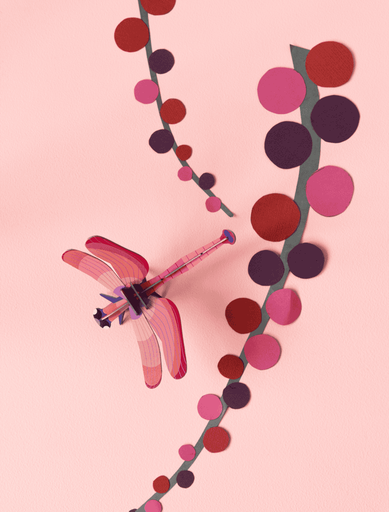 Ruby Dragonfly - Studio ROOF