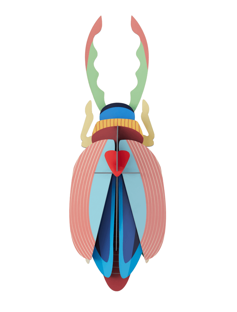 Beetles - Studio ROOF