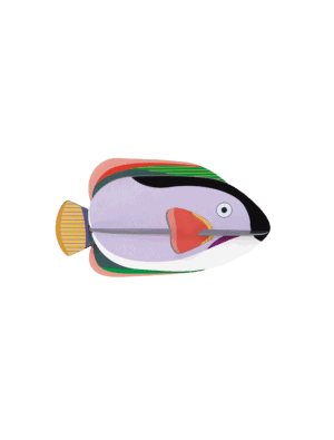 King Angelfish - Studio ROOF