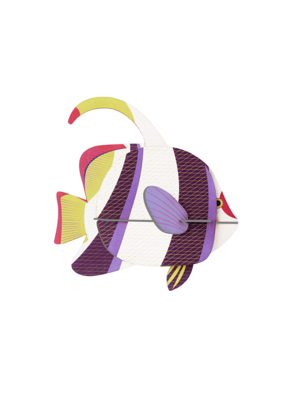 Marine Angelfish - Studio ROOF