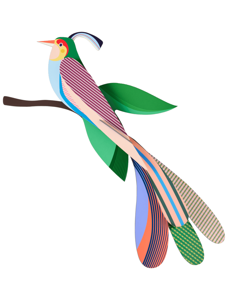 Paradise Birds - Studio ROOF