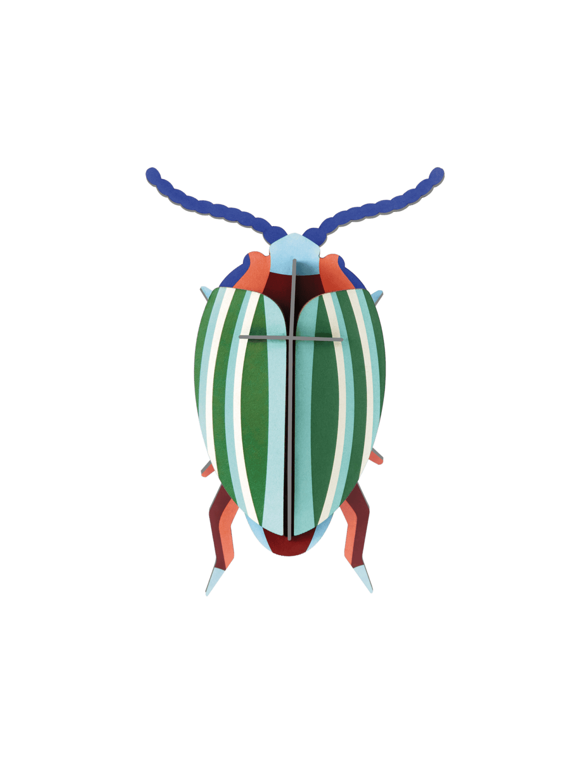 Rainbow Leaf Beetle - Studio ROOF