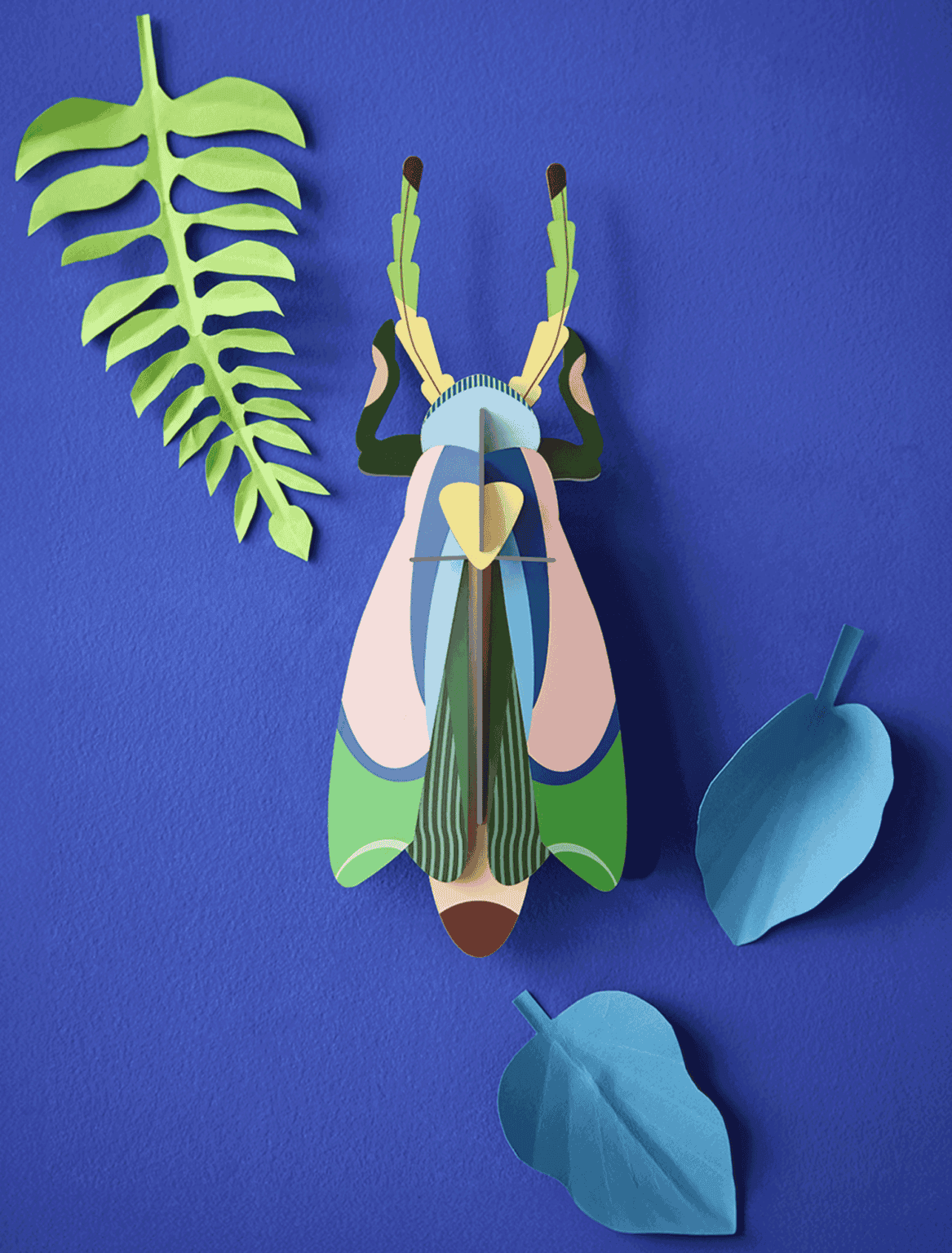 Weevil beetle - Studio ROOF