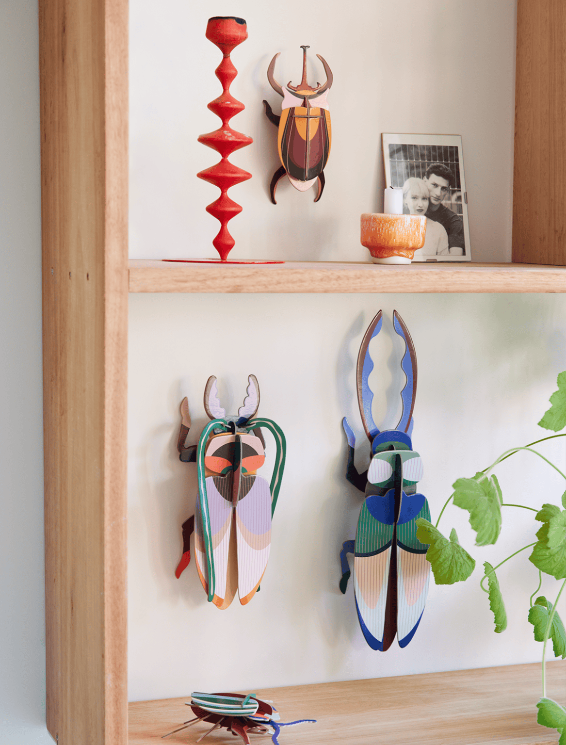 Cosmos Beetle - Studio ROOF