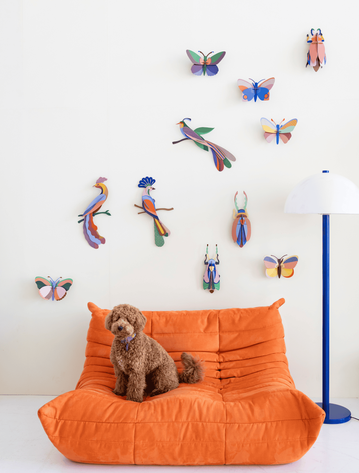 Hapi Butterfly - Studio ROOF